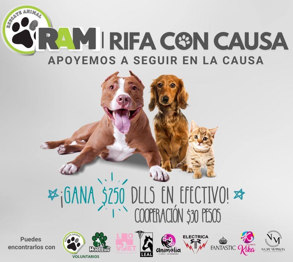 Escuadrón Super Huellas 2 0 En Campaña De Esterilización Canina Y Felina